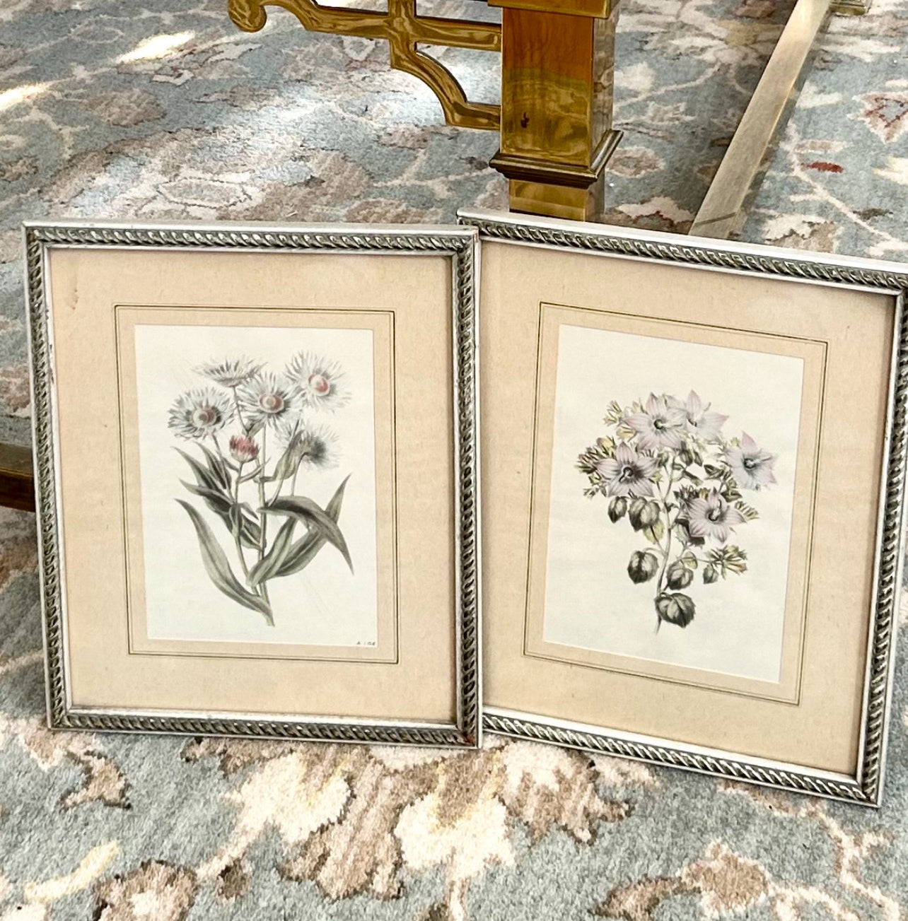 Lovely set of two vintage color botanical lithography style wall art ...