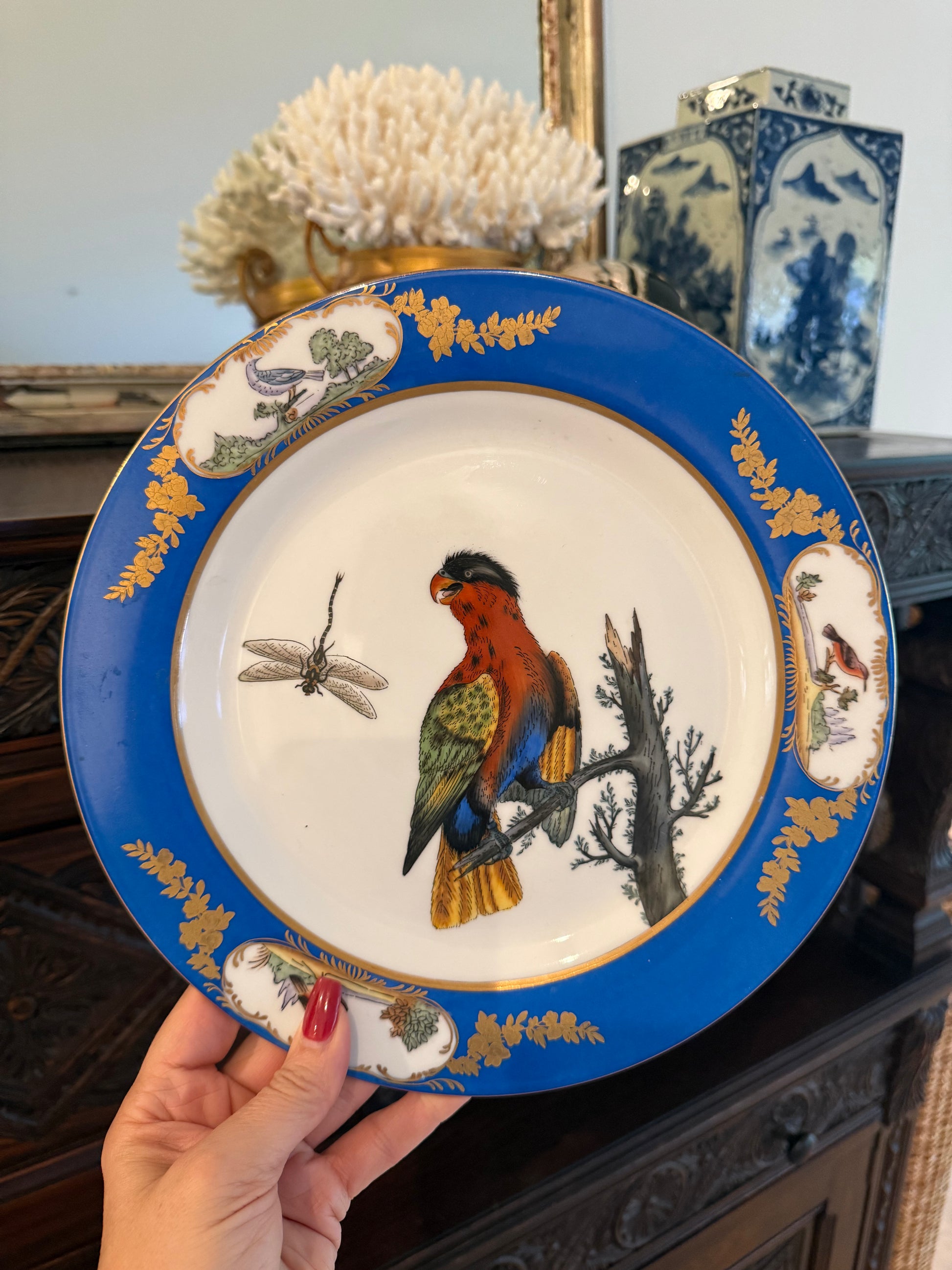 For Jan-Chelsea House Parrot Cabinet Plate – Lillian Grey